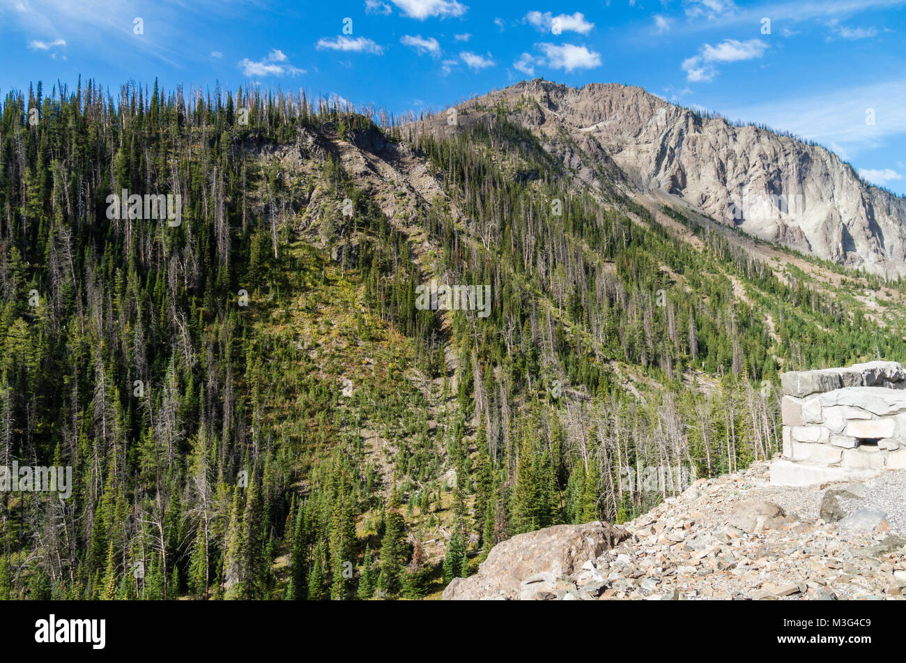 Sylvan pass is over 8,000 feet high and is closed in winter ...