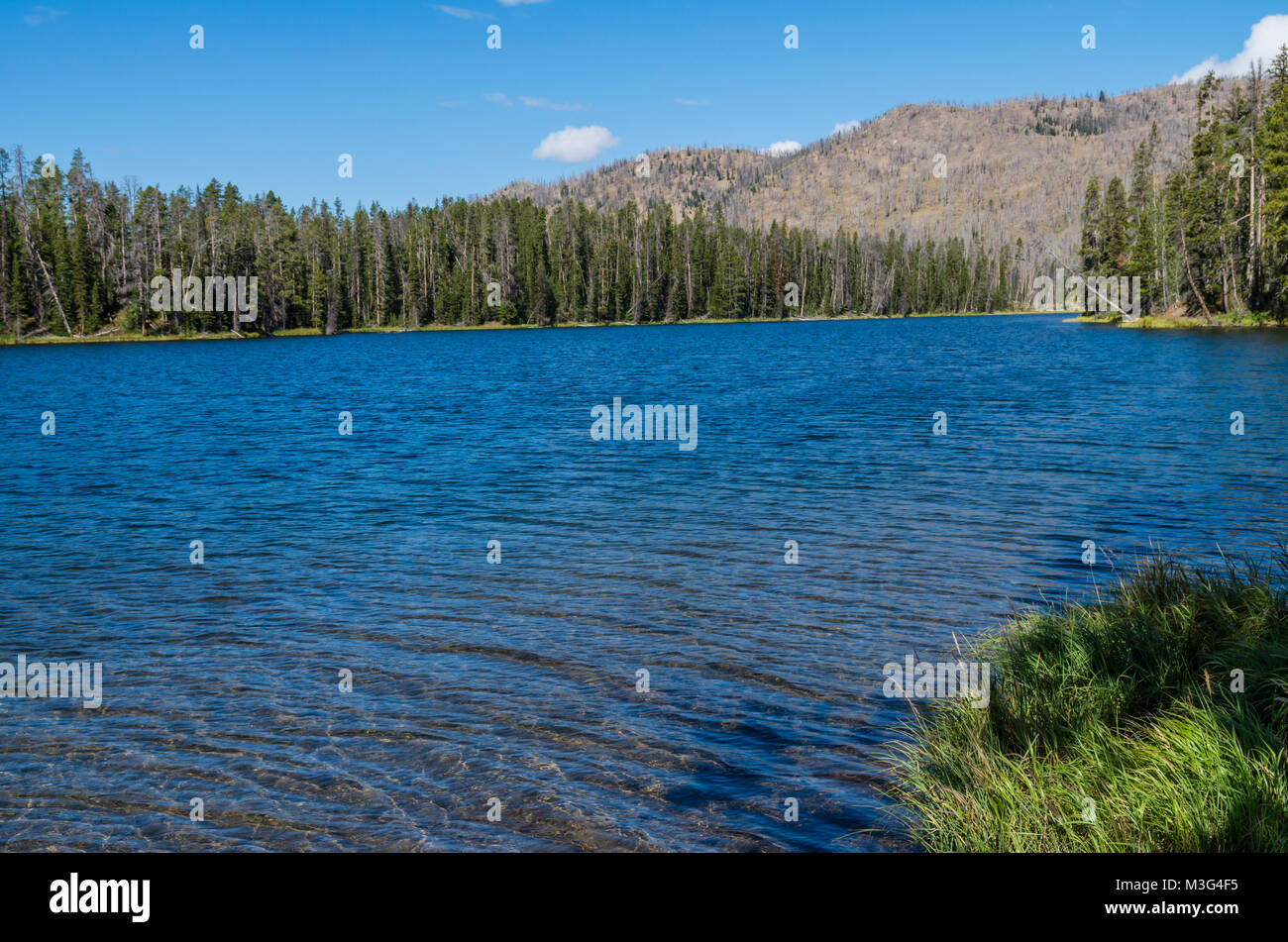 Sylvan Lake is a high elevation lake near Sylvan Pass. Yellowstone ...