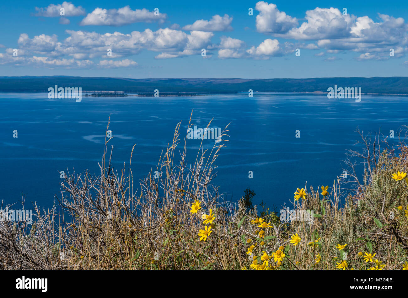 View of Yellowstone Lake from Lake Butte Overlook. Yellowstone National ...