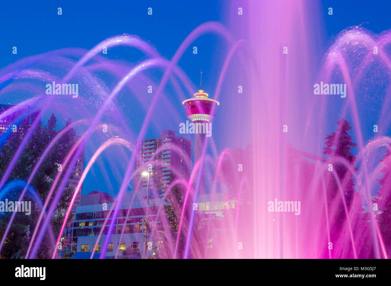 Illuminated fountain with the Calgary Tower in the distance, Central ...