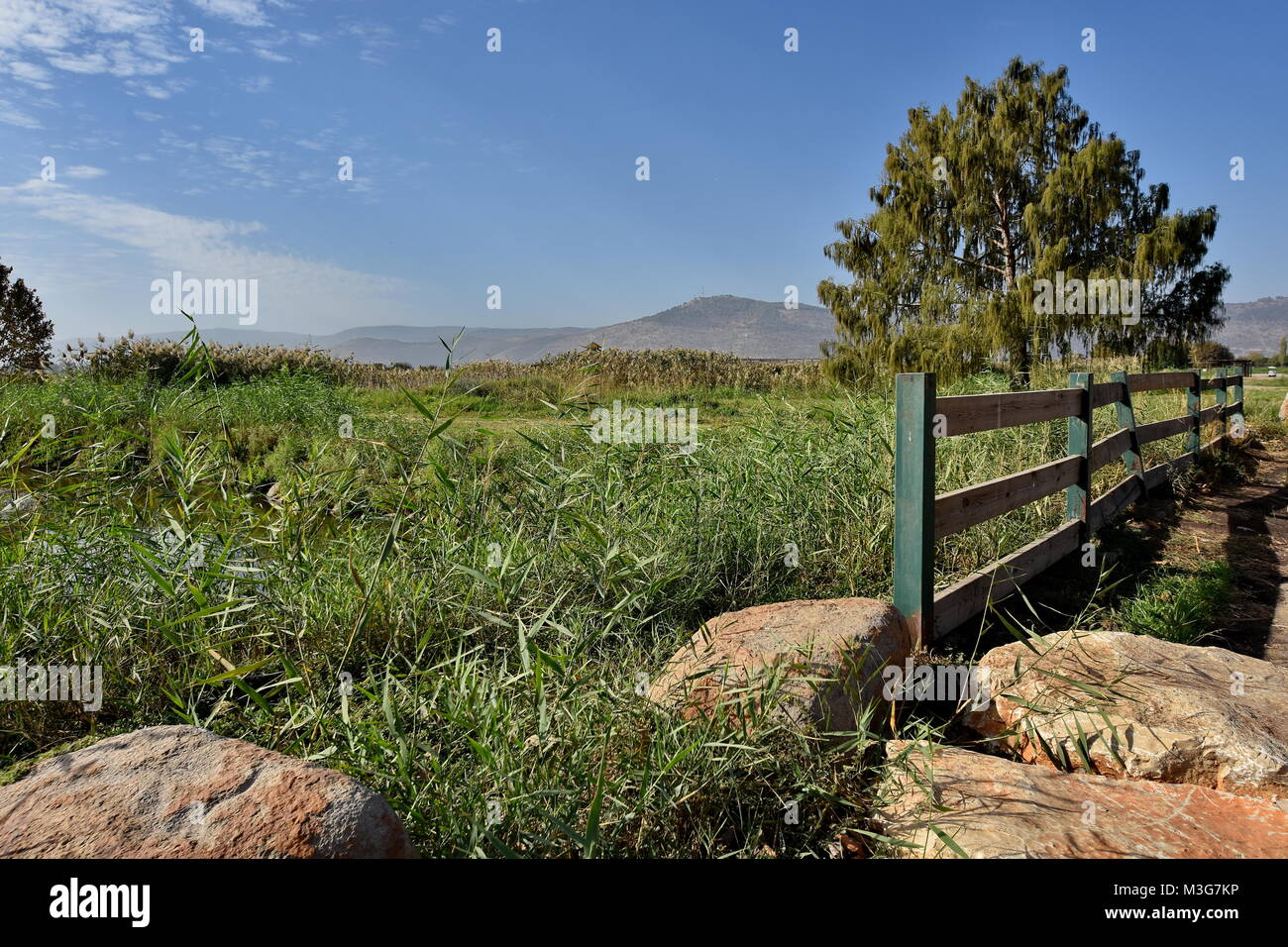 bridge over water in hula valley Israel Stock Photo - Alamy