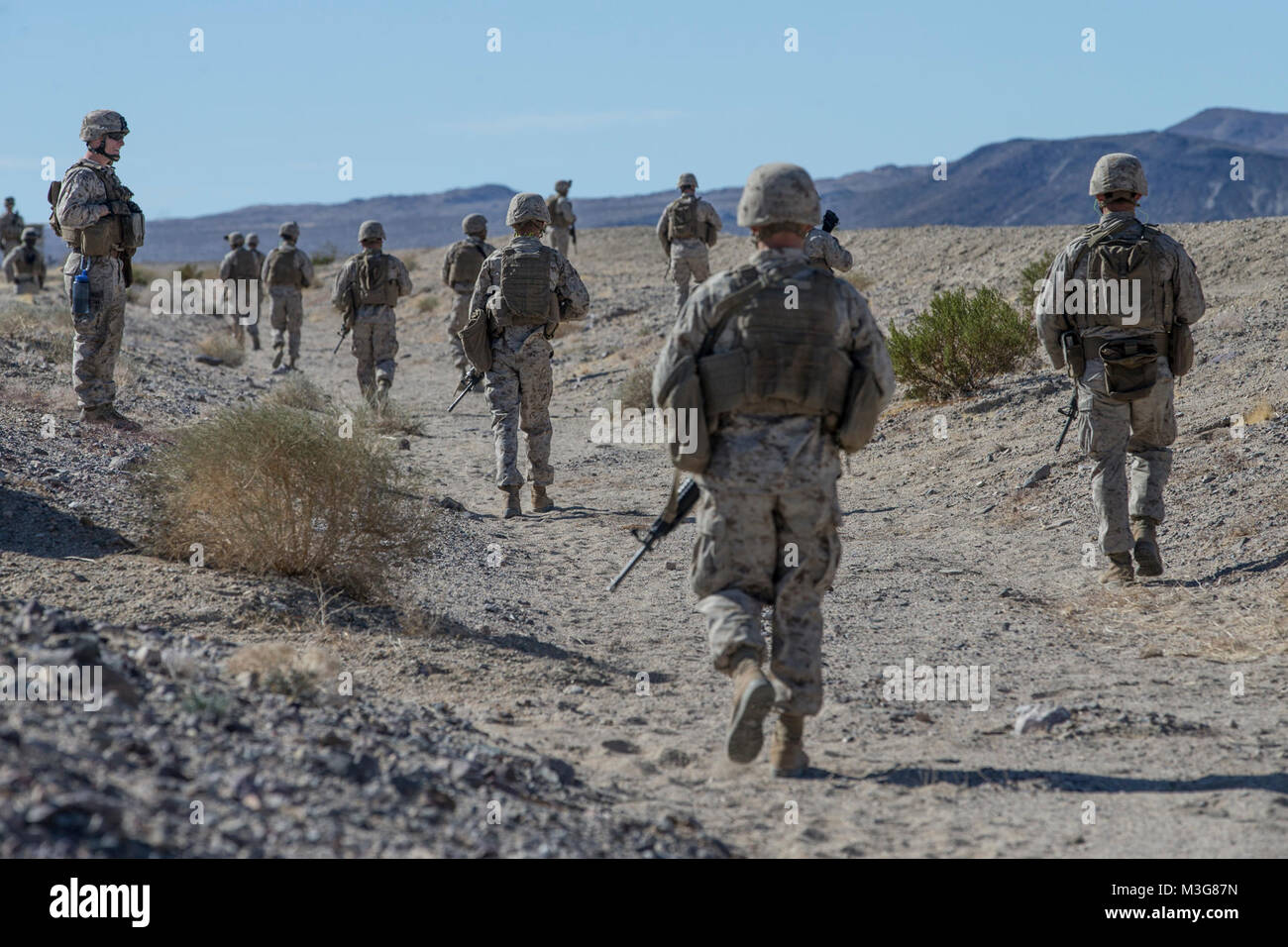 U.S. Marines with Bravo Battery, 2nd Low Altitude Air Defense (LAAD ...