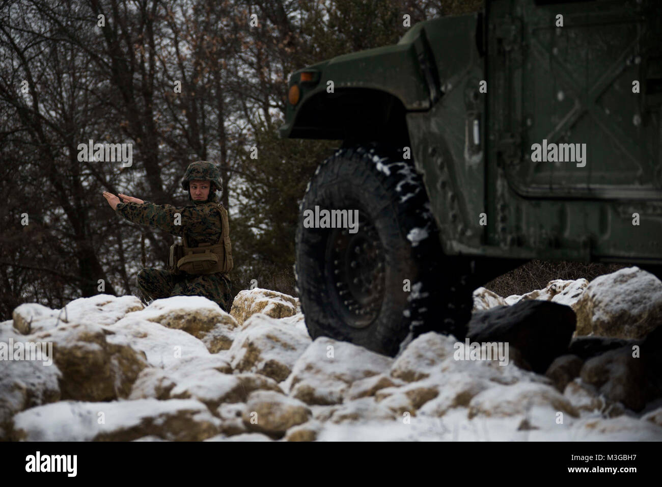 U.S. Marines Corps Cpl. Nicholas Chapman, a motor vehicle operator with ...