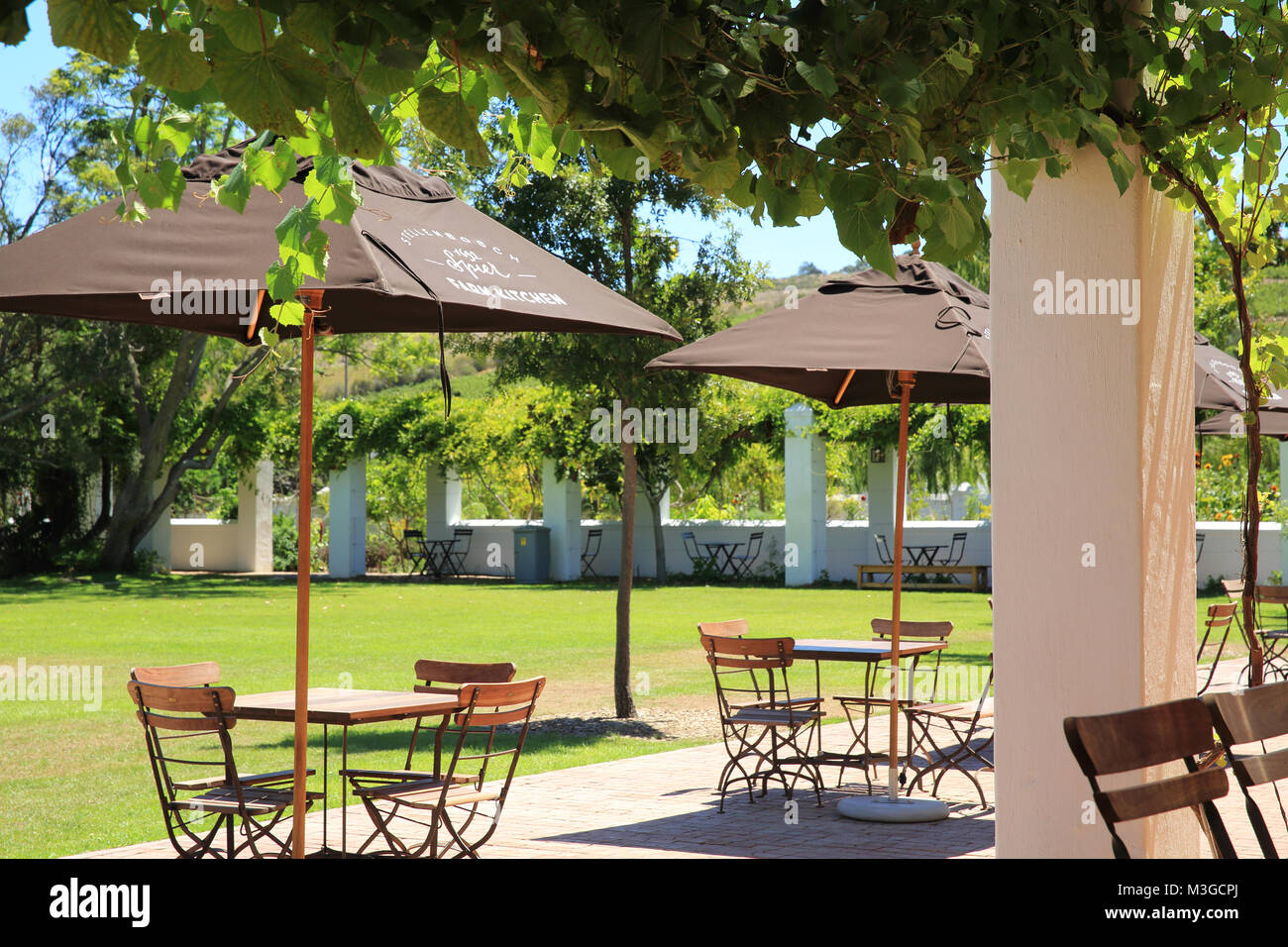 Stellenbosch 1692 Spier Farm Kitchen in the Cape Winelands, in South ...