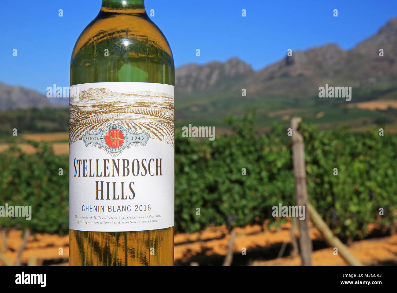 South african cape wine bottle label hi-res stock photography and ...