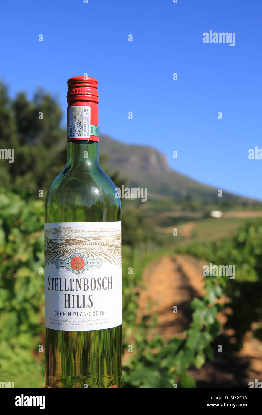 South african cape wine bottle label hi-res stock photography and ...