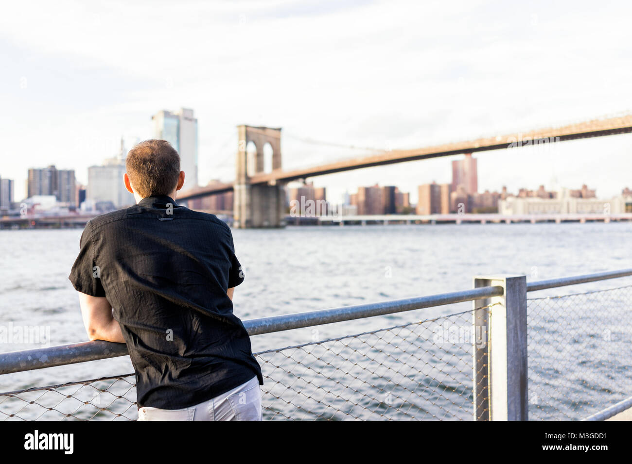 Back view of man in manhattan hi-res stock photography and images - Alamy
