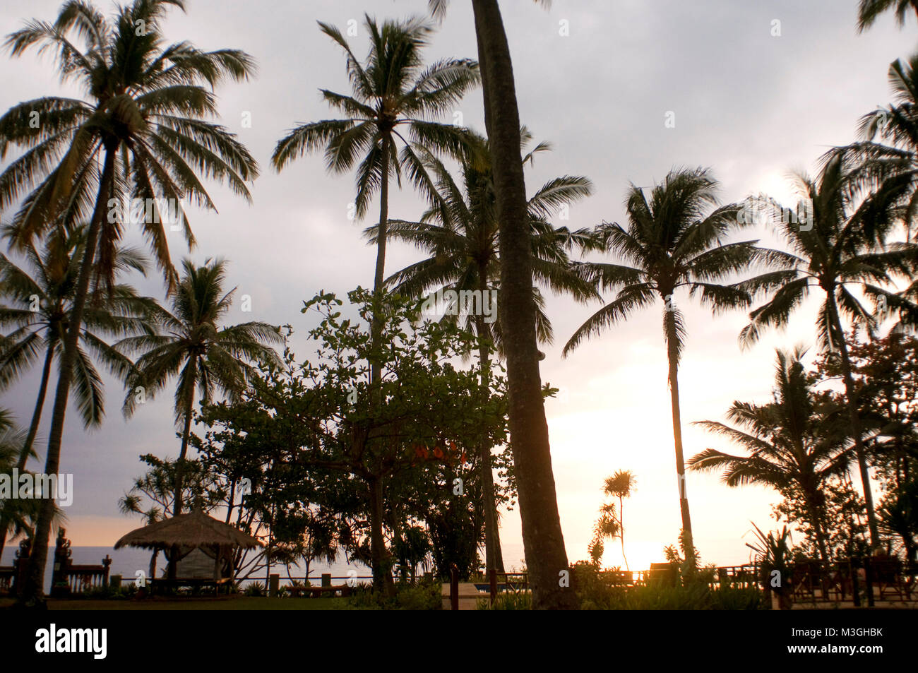 Cottages and palm trees hi-res stock photography and images - Alamy