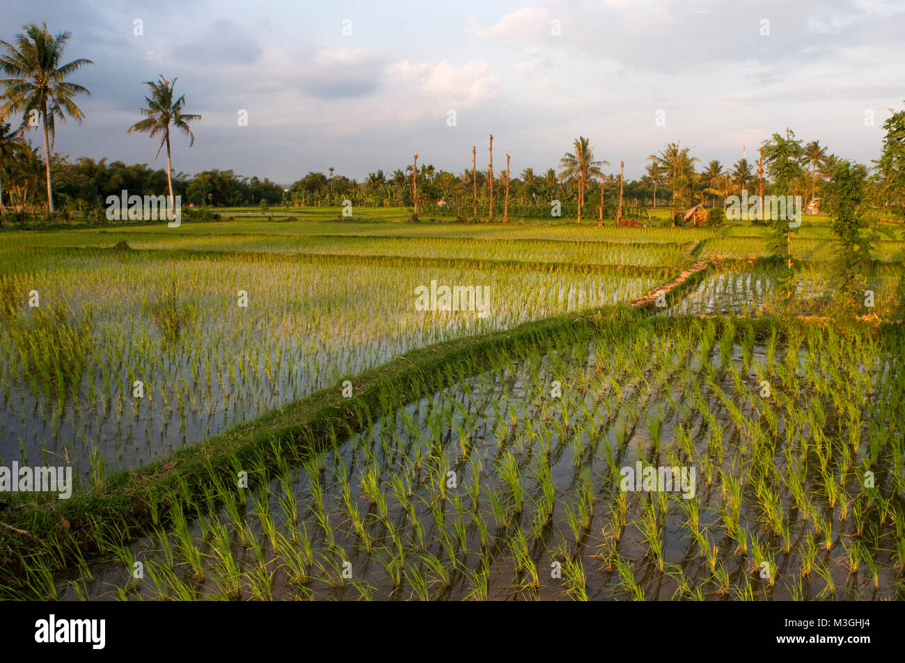 Lombok central hi-res stock photography and images - Alamy