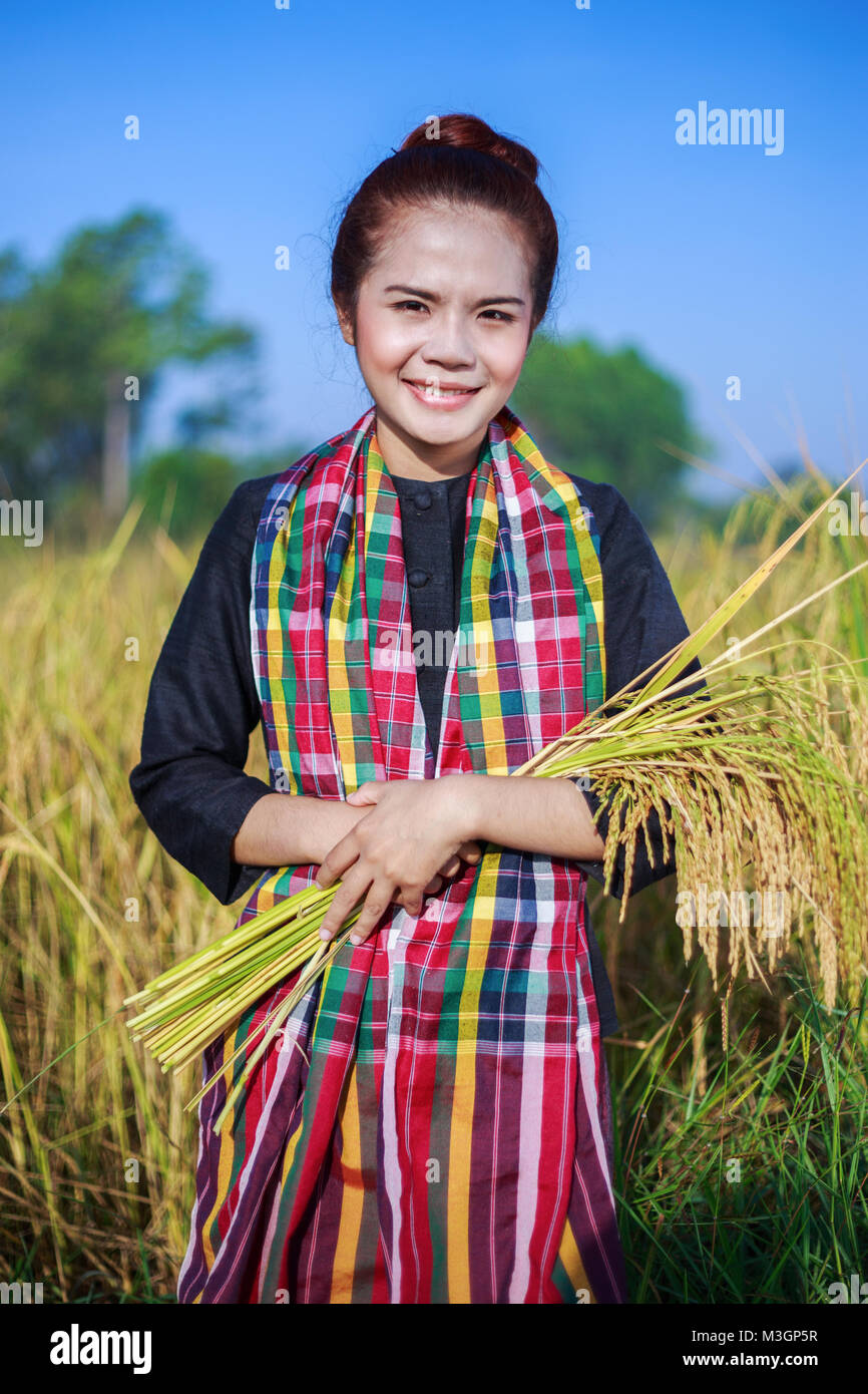 Cambodian farmers plant rice rice hi-res stock photography and images ...