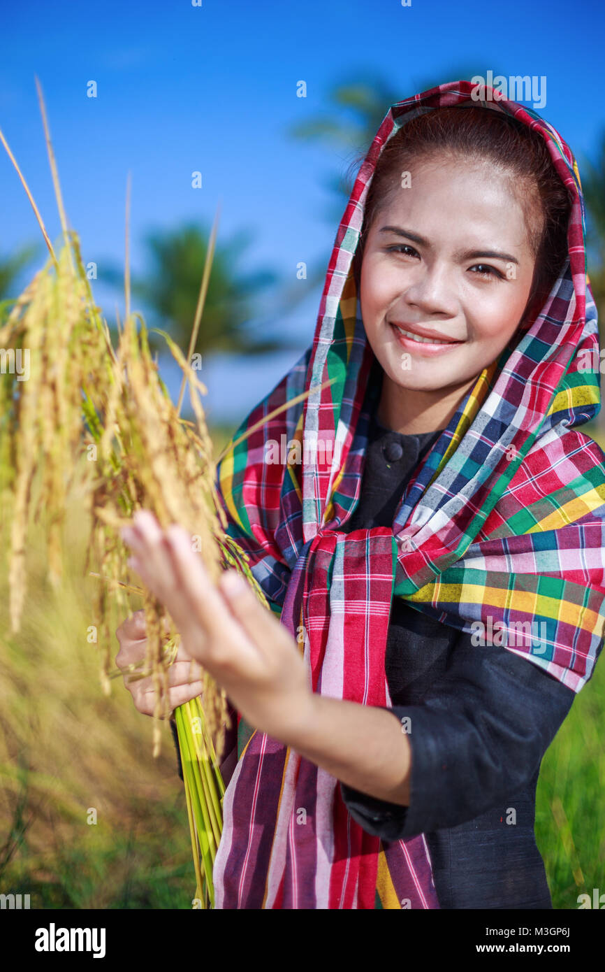 farmer woman holding rice in field, Thailand Stock Photo - Alamy