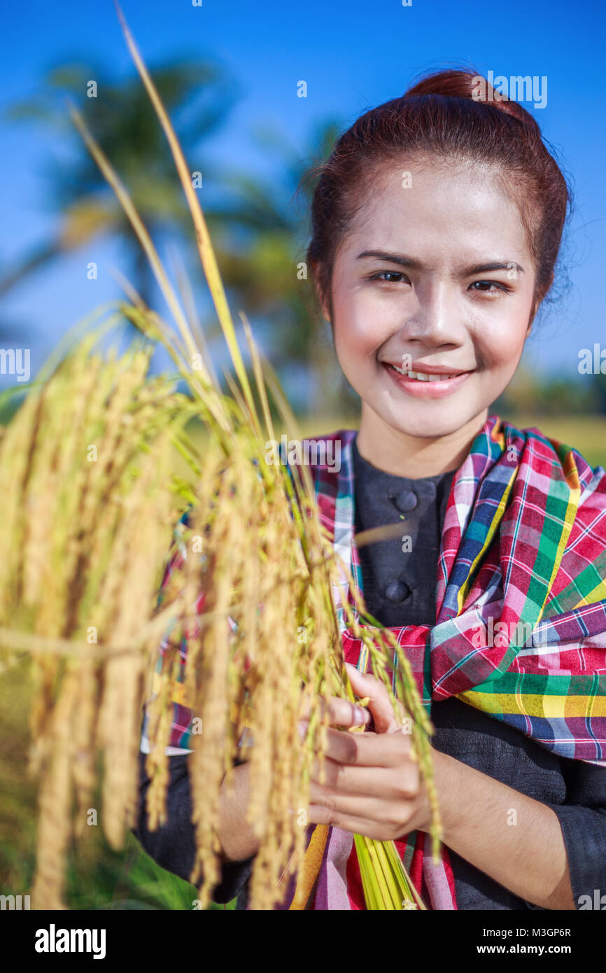 farmer woman holding rice in field, Thailand Stock Photo - Alamy