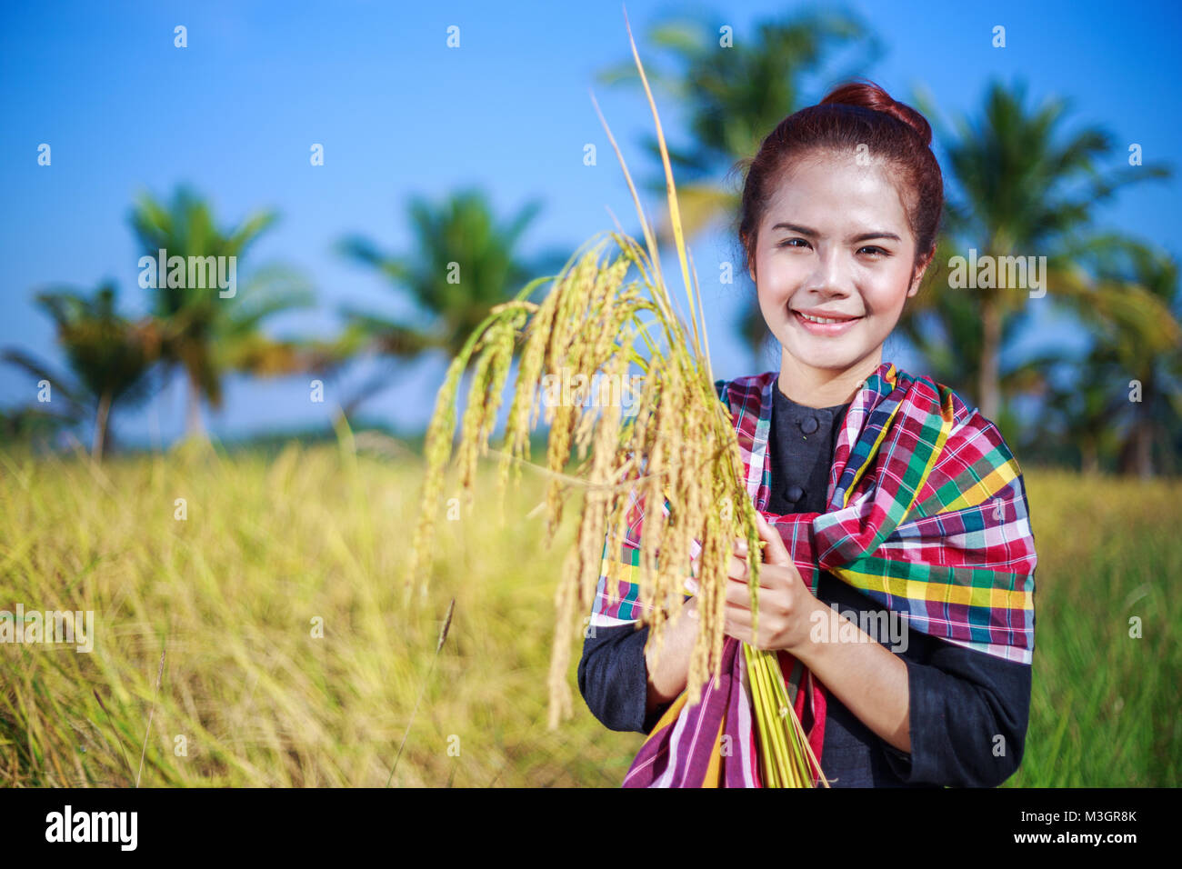 farmer woman holding rice in field, Thailand Stock Photo - Alamy