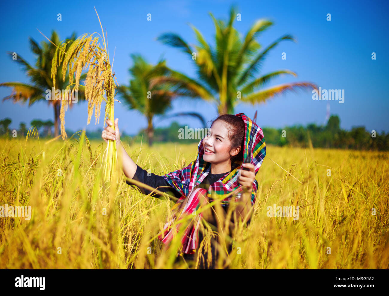 happy farmer woman in rice field, Thailand Stock Photo - Alamy