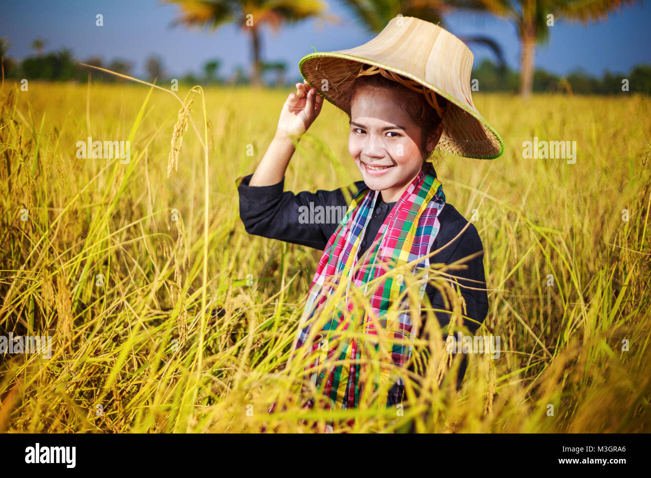 farmer woman in rice field, Thailand Stock Photo - Alamy