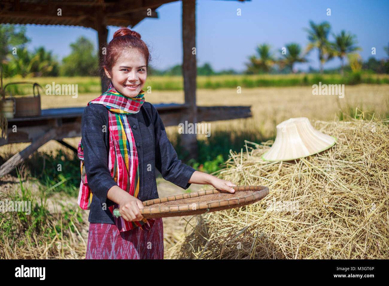 Harvest Threshed Threshing High Resolution Stock Photography and Images ...