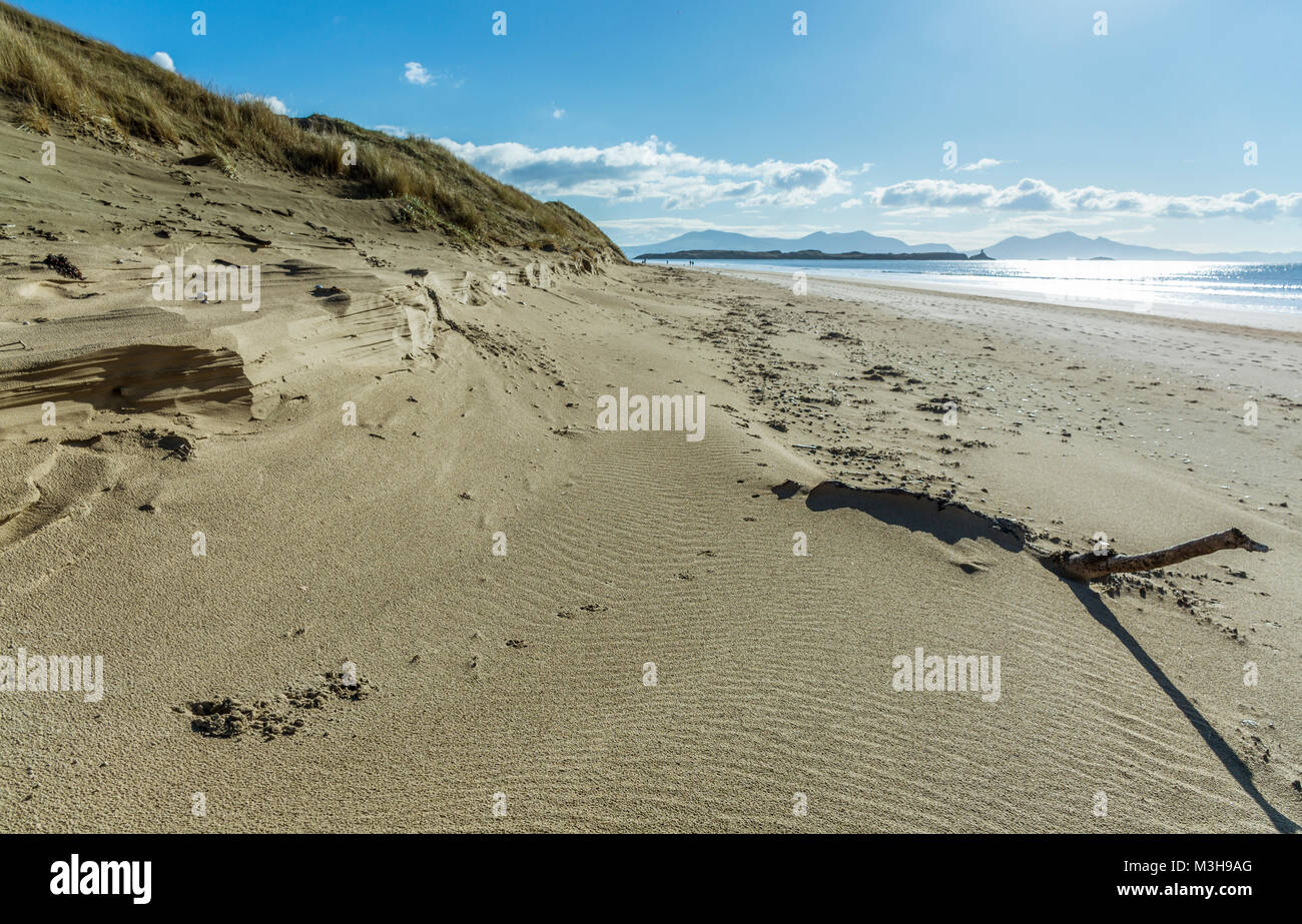 A view along Newborough beach, near Malltraeth on Anglesey looking ...