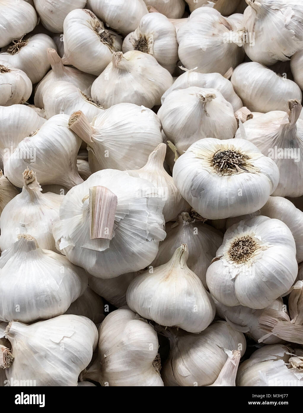 a large group of whole garlic covering frame. wallpaper and background ...