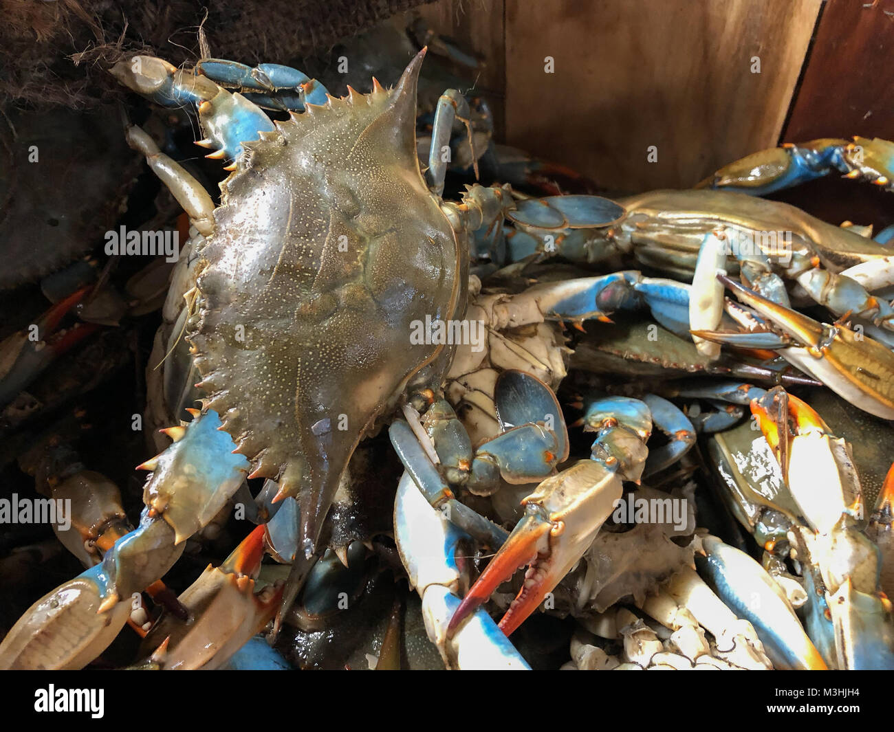 Box of crab legs hi-res stock photography and images - Alamy
