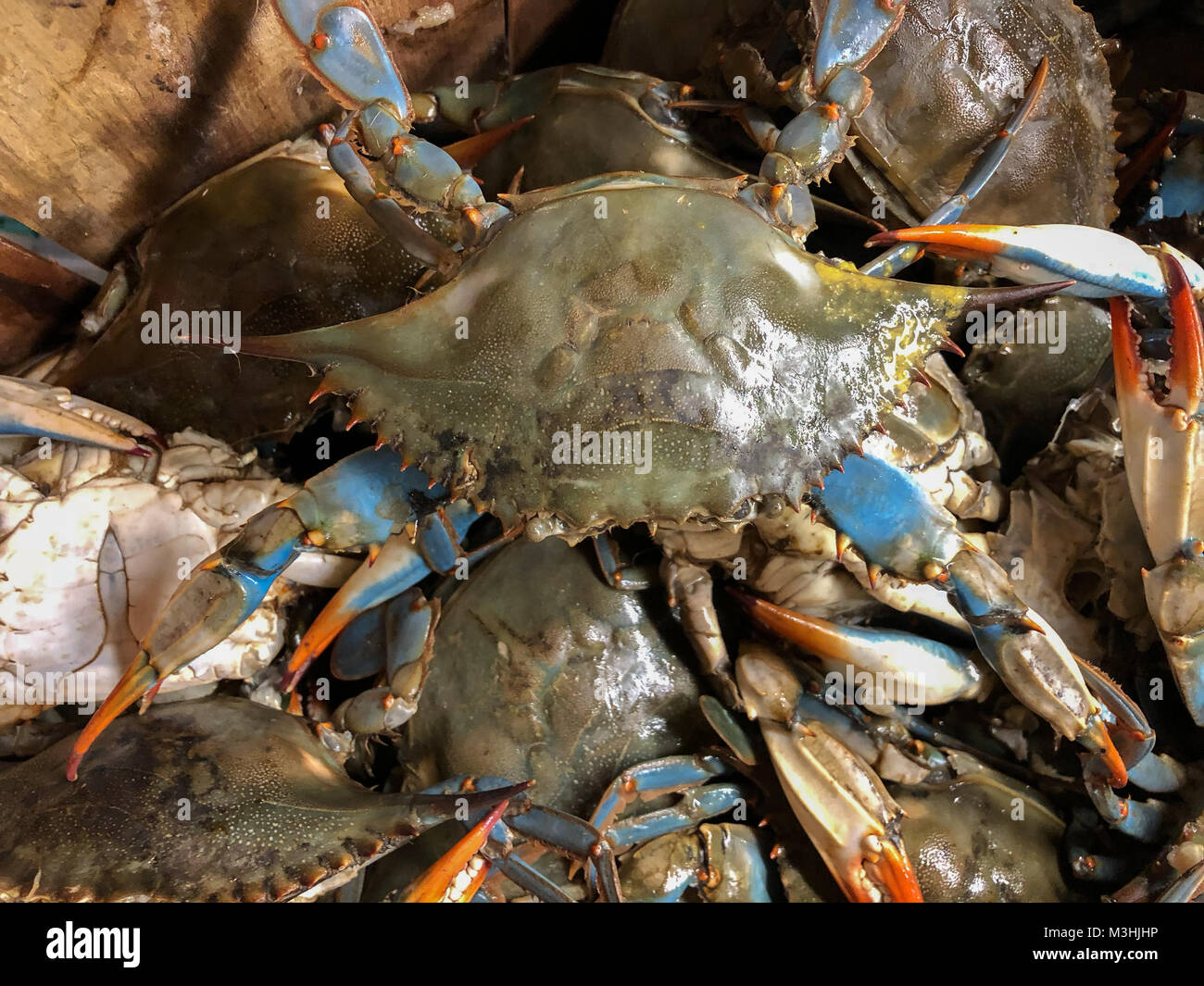 Basket of crabs hi-res stock photography and images - Alamy