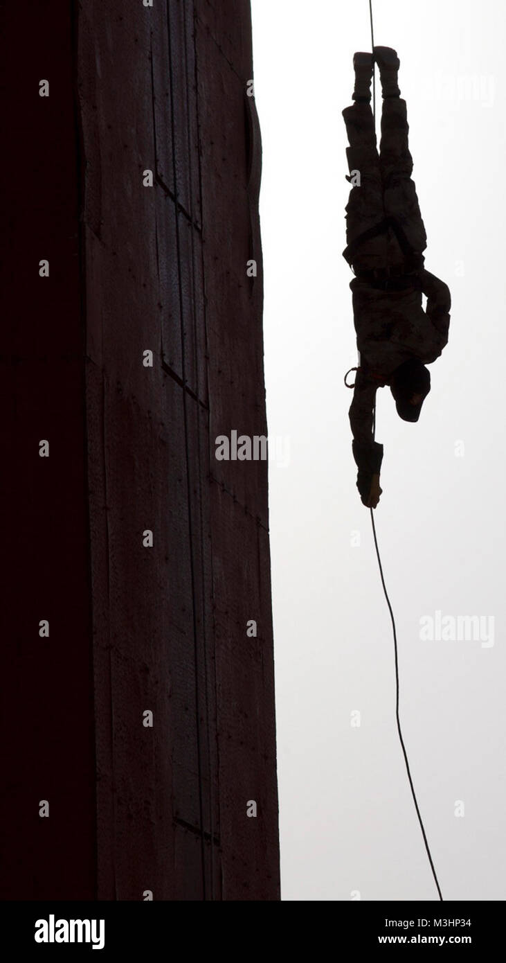 Iraqi cts hi-res stock photography and images - Alamy