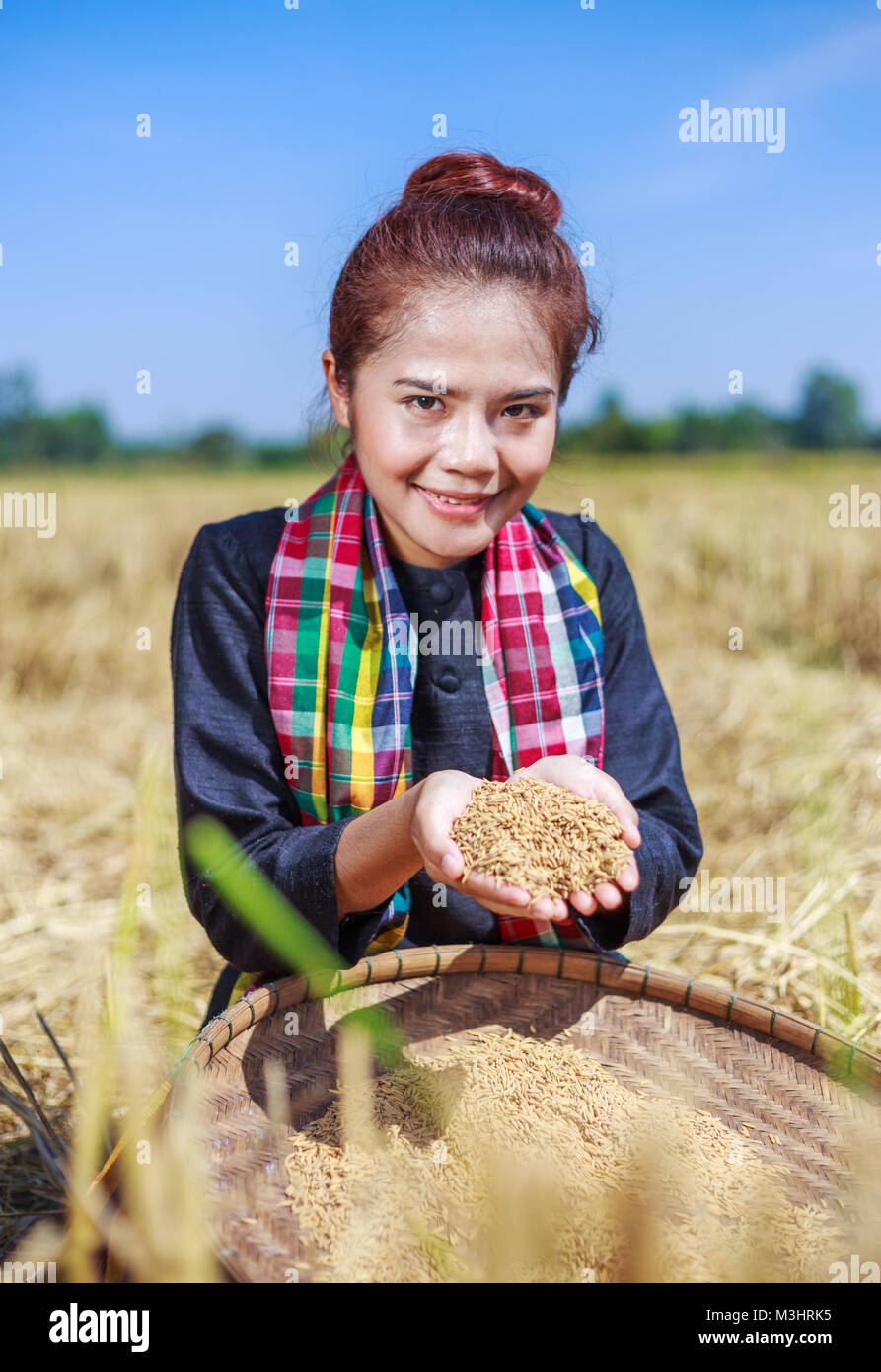 Girl harvesting rice hi-res stock photography and images - Alamy
