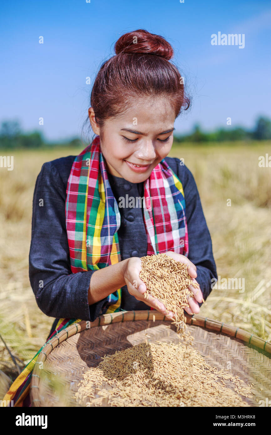 paddy rice in happy farmer woman hand Stock Photo - Alamy