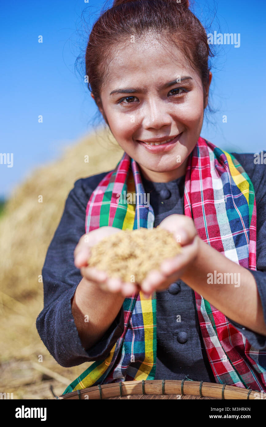 paddy rice in happy farmer woman hand Stock Photo - Alamy