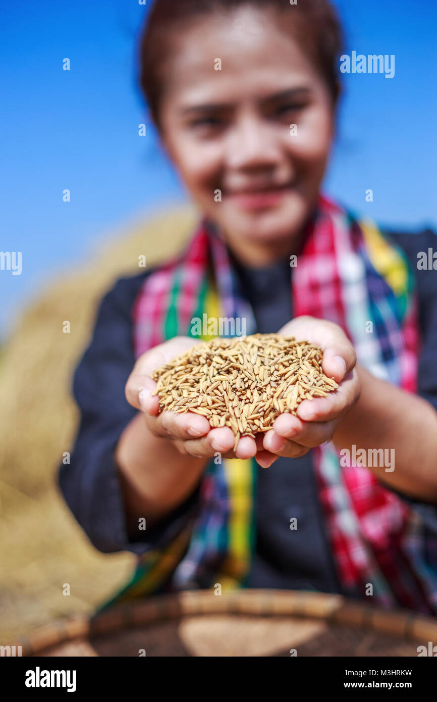 paddy rice in happy farmer woman hand Stock Photo - Alamy