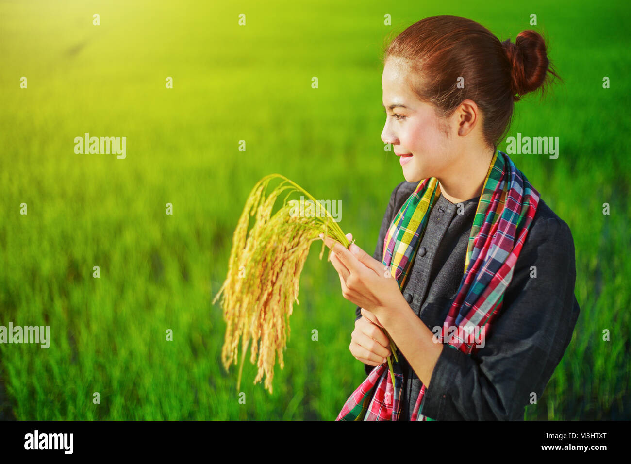farmer woman holding rice in field, Thailand Stock Photo - Alamy