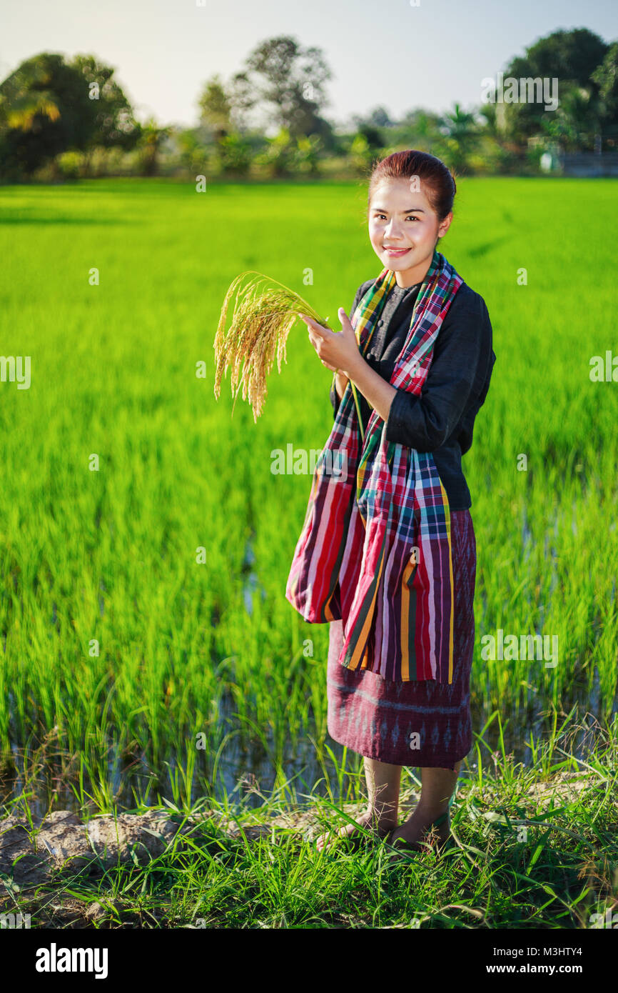 farmer woman holding rice in field, Thailand Stock Photo - Alamy