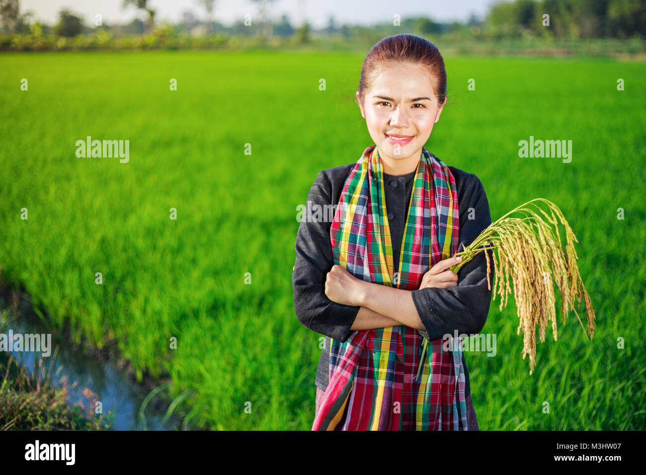 farmer woman holding rice in field, Thailand Stock Photo - Alamy
