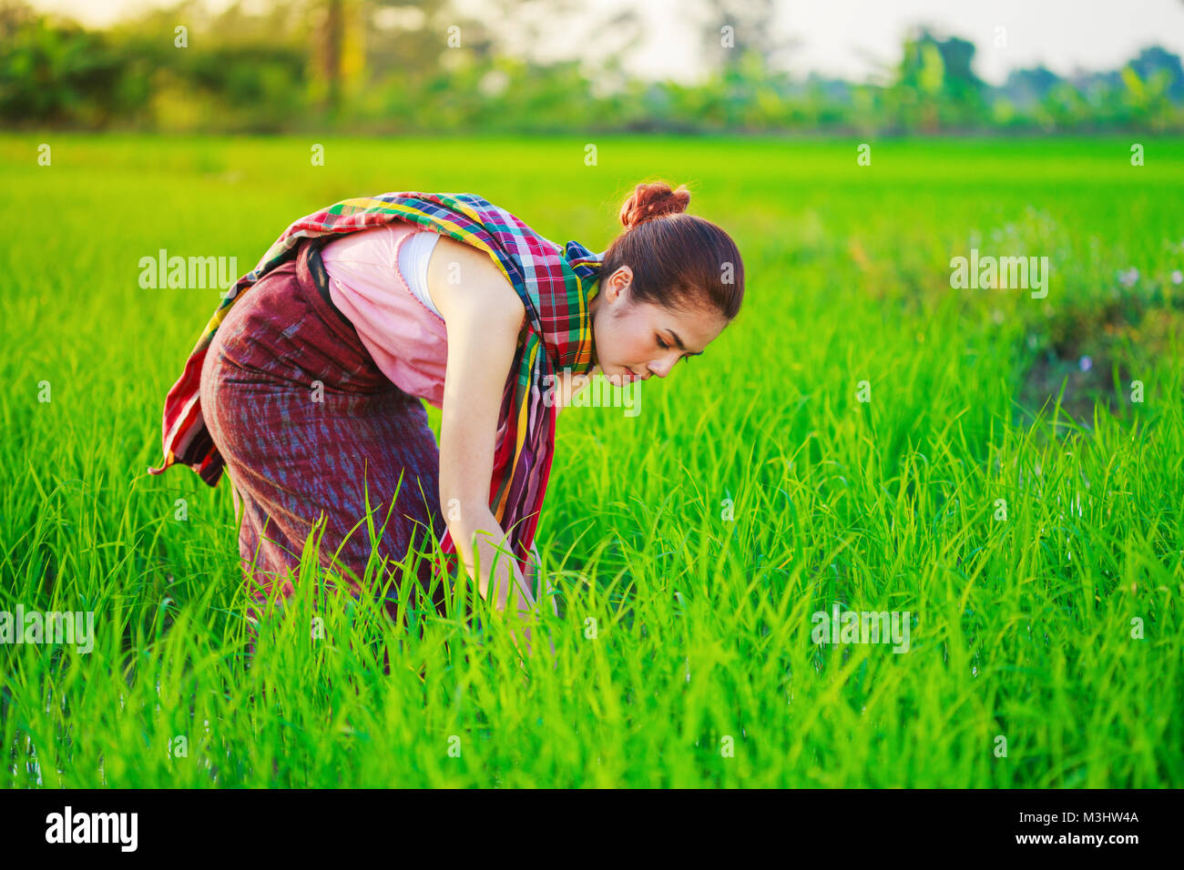 Women working field africa hi-res stock photography and images - Alamy