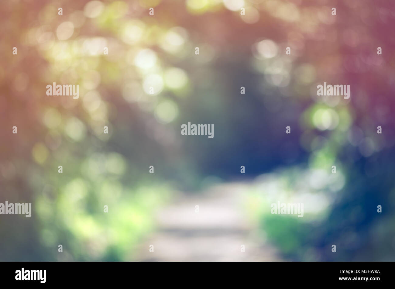 Colorful nature jungle or forest abstract blur for design background ...