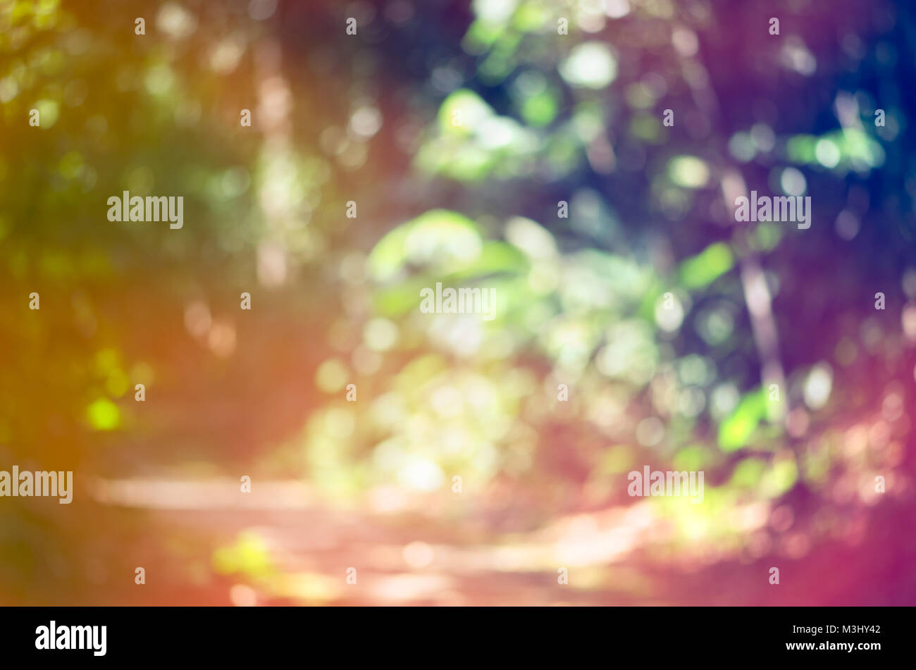 Colorful nature jungle or forest abstract blur for design background ...