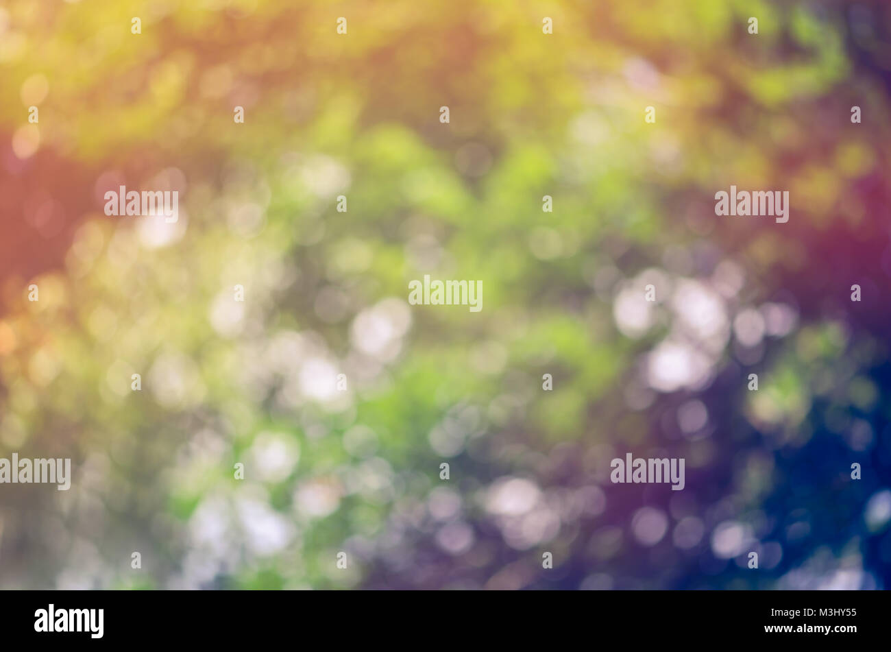 Colorful nature jungle or forest abstract blur for design background ...