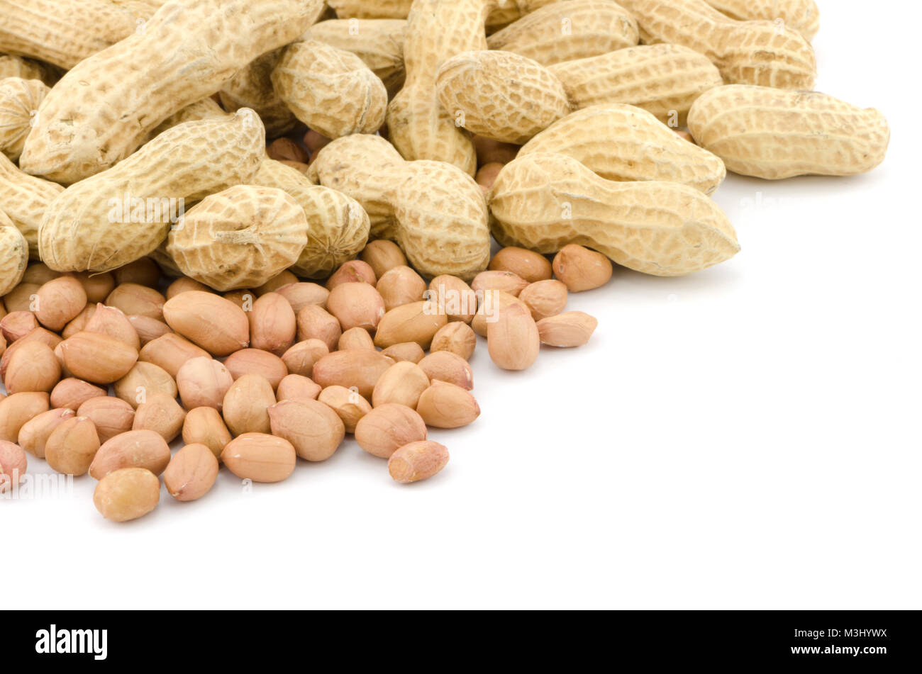 Close up of Peanut or groundnut food allergy health concept, isolated ...