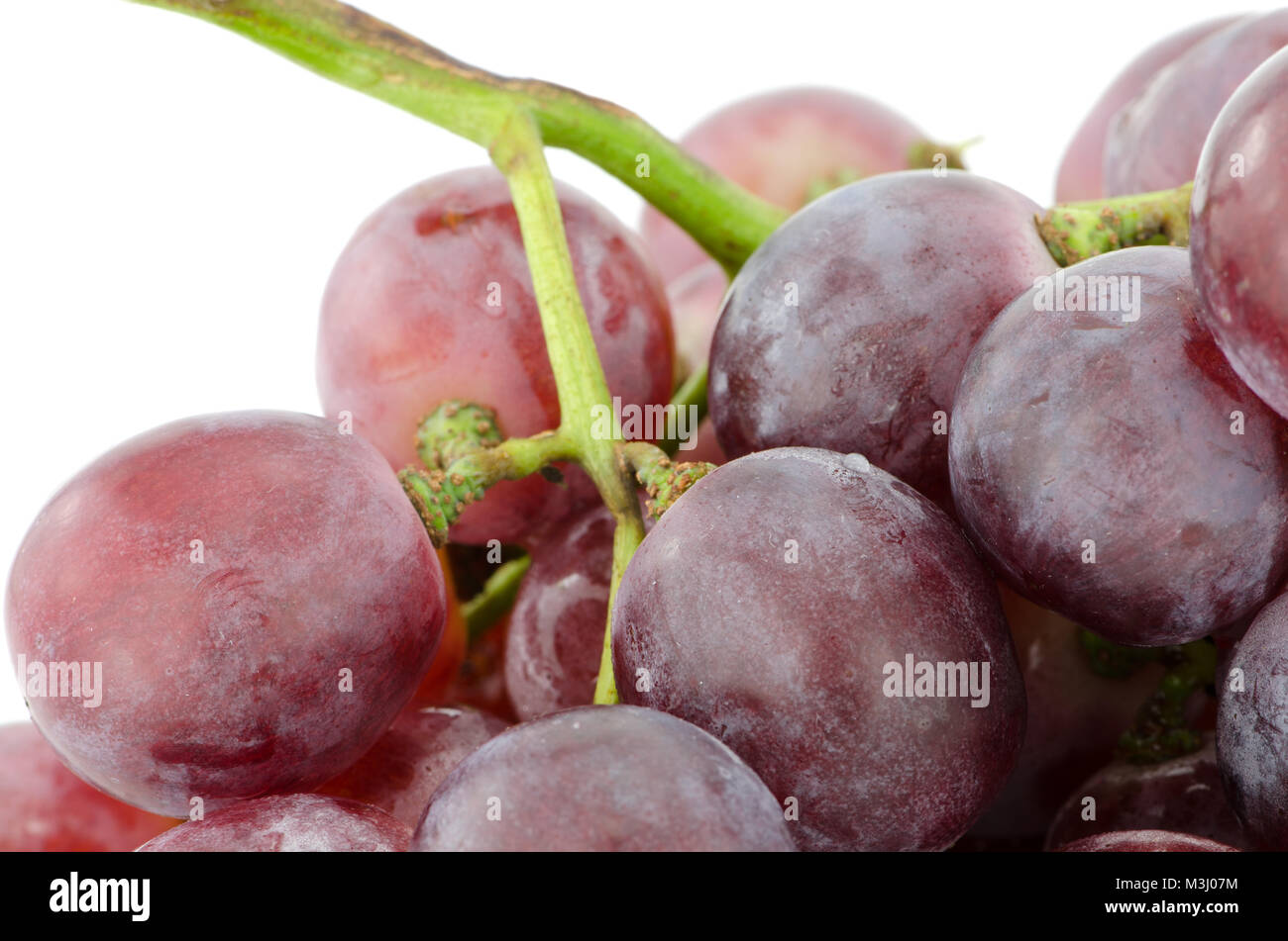 Close up of red grapes isolated on white background Stock Photo - Alamy