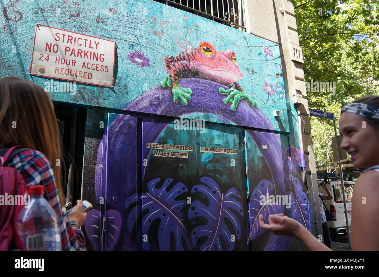 Frog street hi-res stock photography and images - Alamy