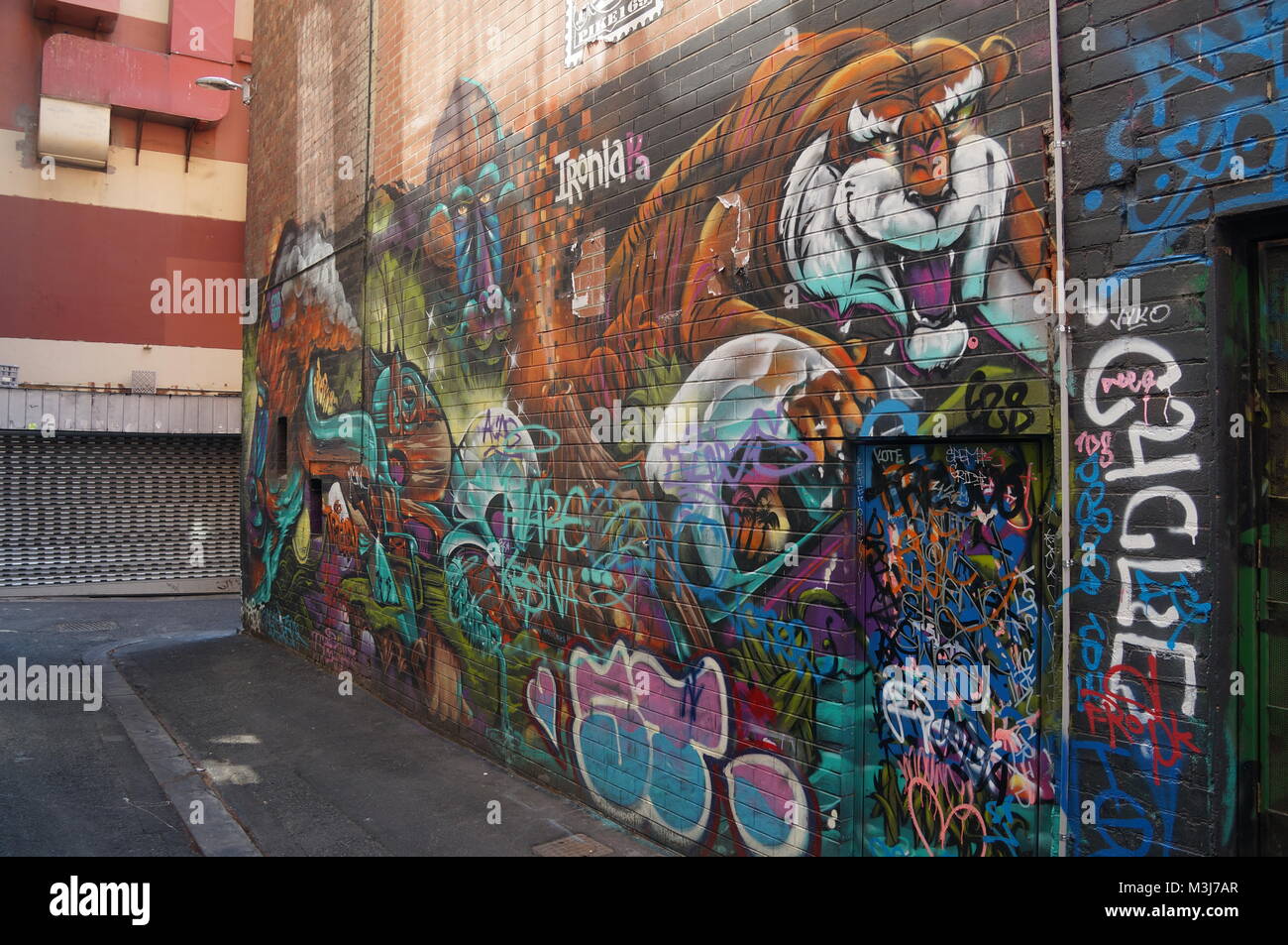 Tiger Streetart Graffiti Melbourne Stock Photo - Alamy