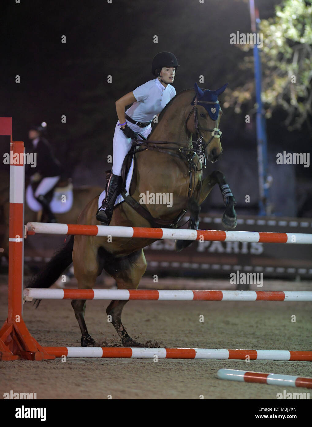 Wellington, Florida, USA. 10th February, 2018. The Winter Equestrian ...