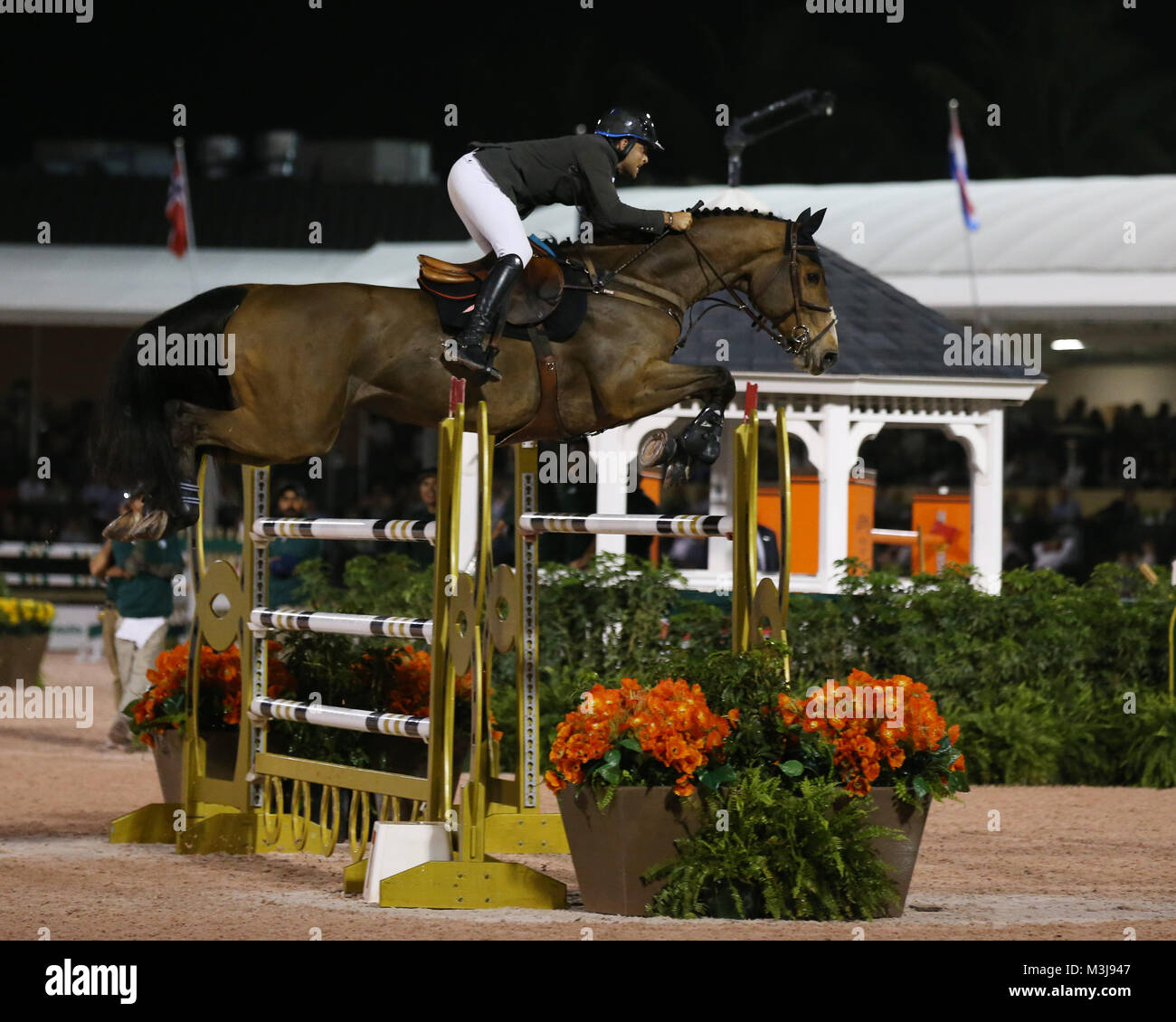 Wellington florida stables hi-res stock photography and images - Alamy