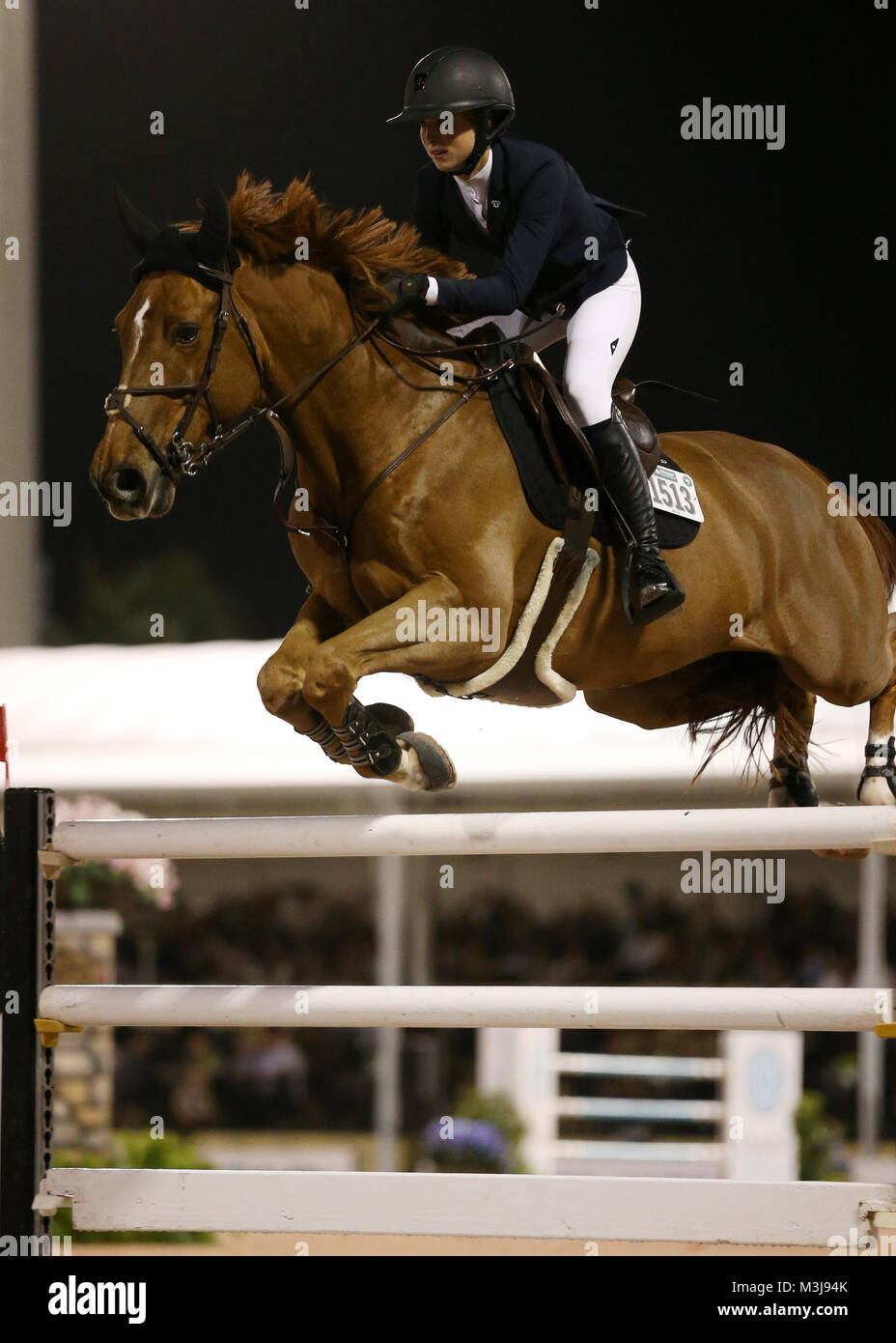 Wellington, Florida, USA. 10th February, 2018. . The Winter Equestrian ...