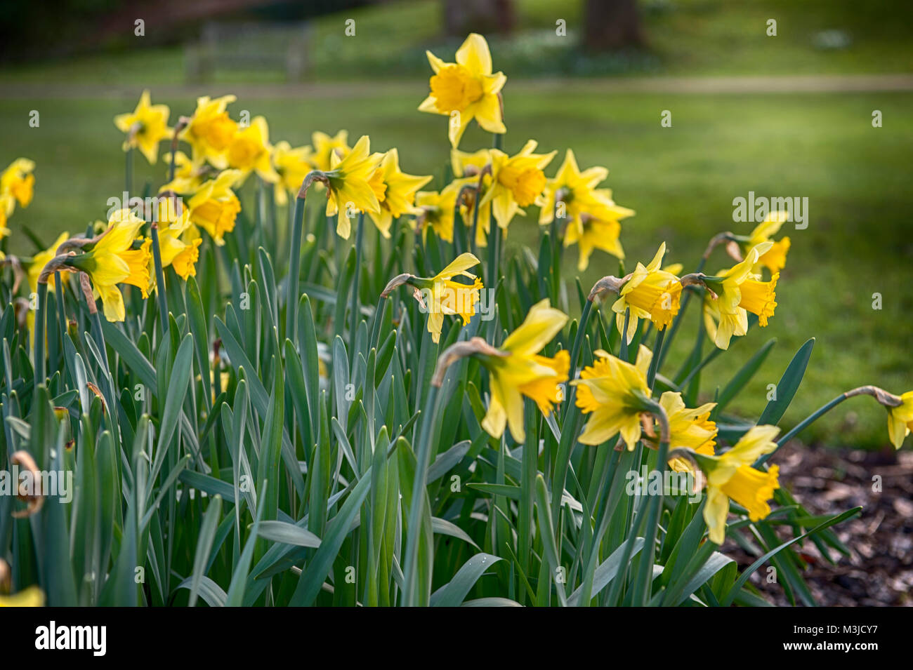 Rhs garden wisley sign hi-res stock photography and images - Alamy