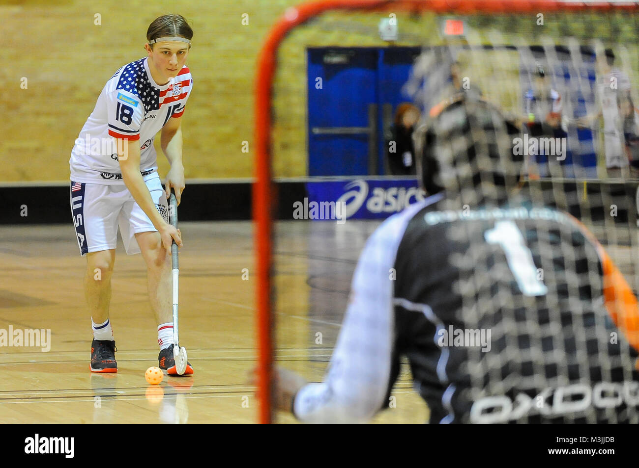 Toronto, Canada. 11th February, 2018. Eriksson William (18) takes a ...