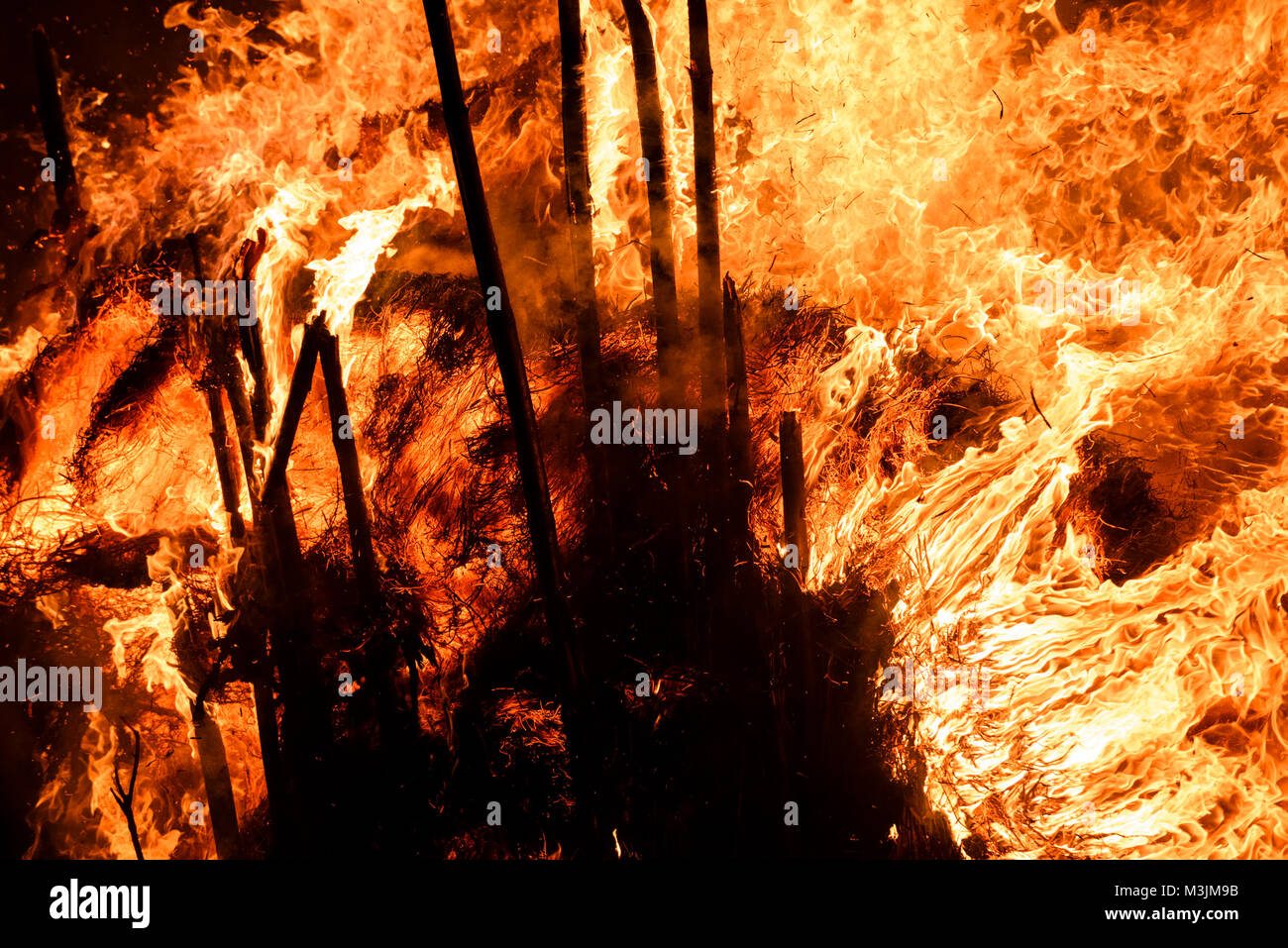 Nishio, Japan. 11th Feb, 2018. Torches made from pampas grass and ...