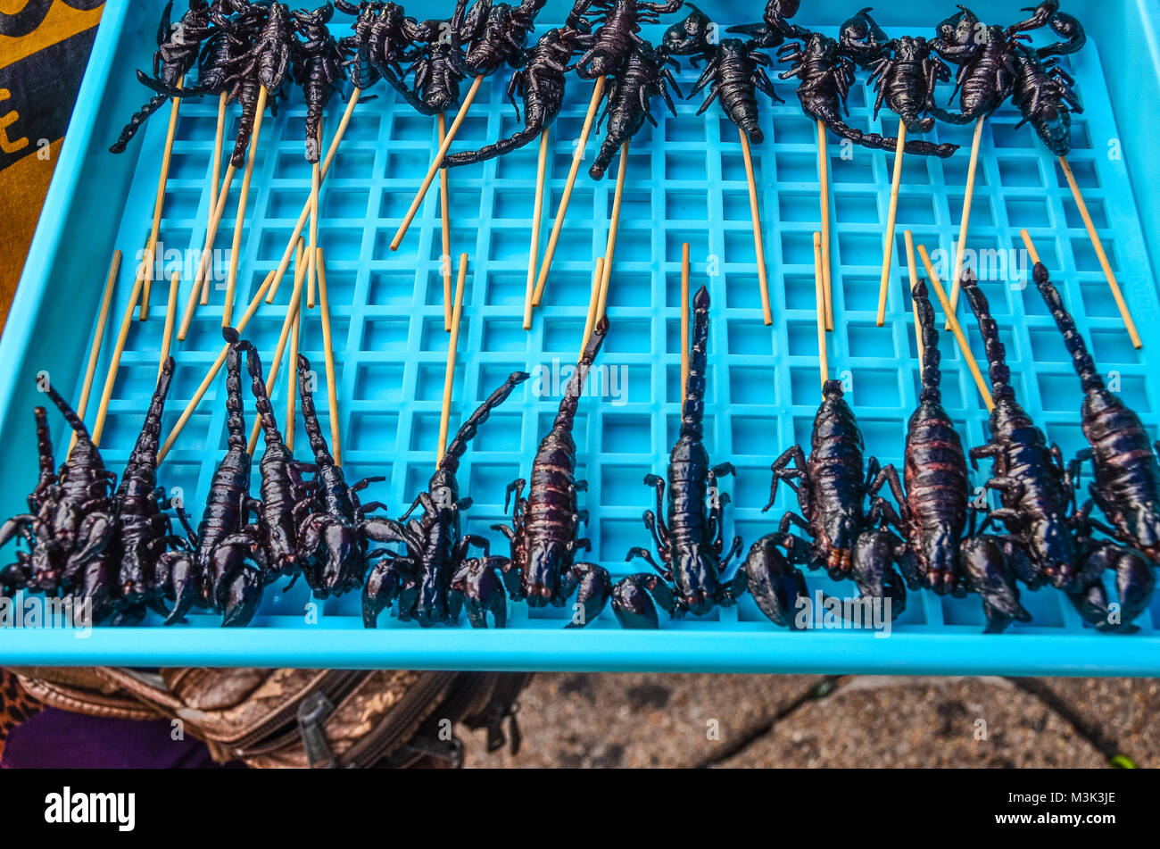 Thailand Scorpions on a Stick Stock Photo - Alamy