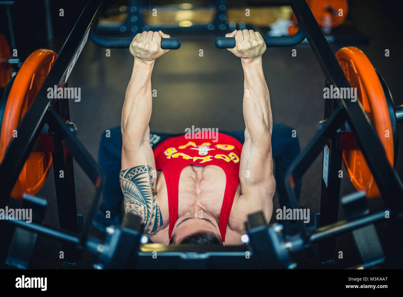 German bodybuilder hi-res stock photography and images - Alamy