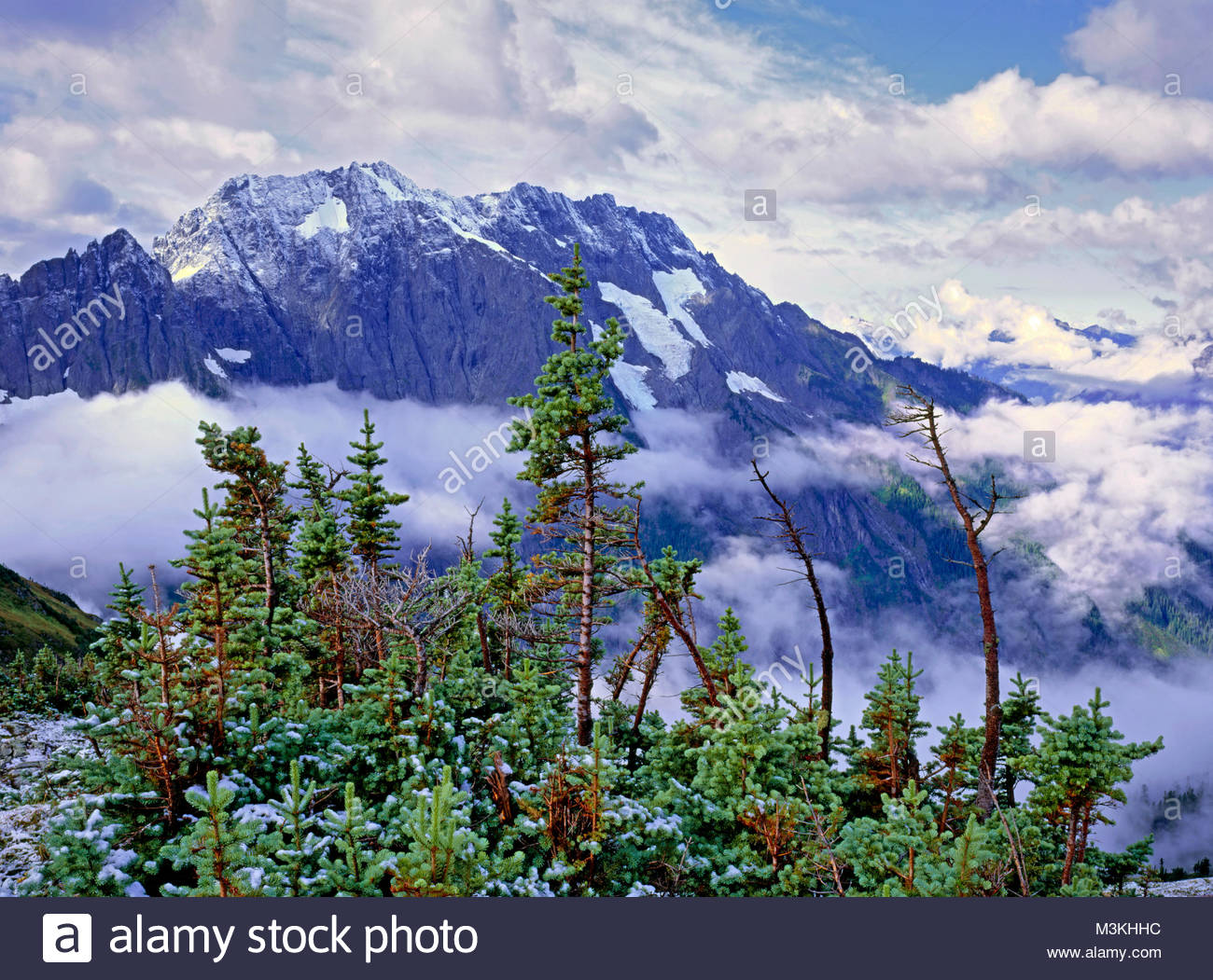 Subalpine Stock Photos & Subalpine Stock Images - Alamy