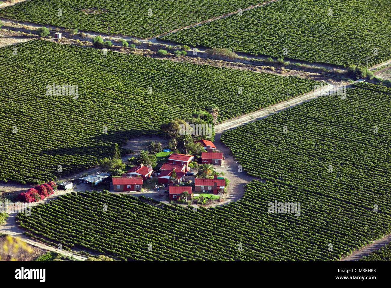 South Africa, Western Cape, Robertson, Robertson Wine Valley. Labour ...